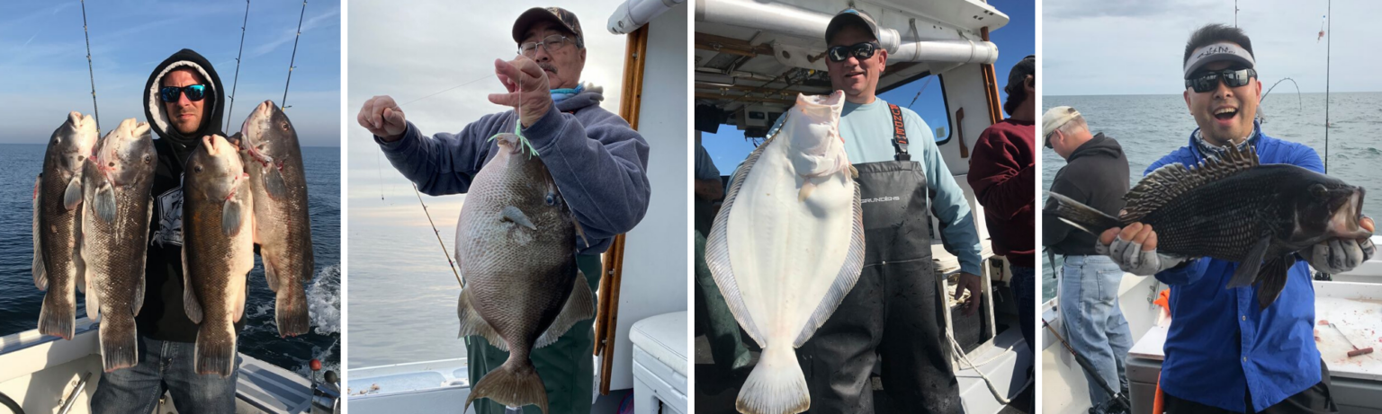 Ocean City Maryland Deep Sea Fishing - The Fish Bound IV